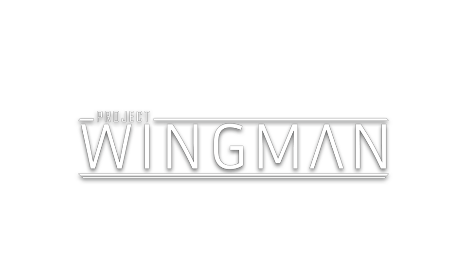 Project Wingman on GOG.com