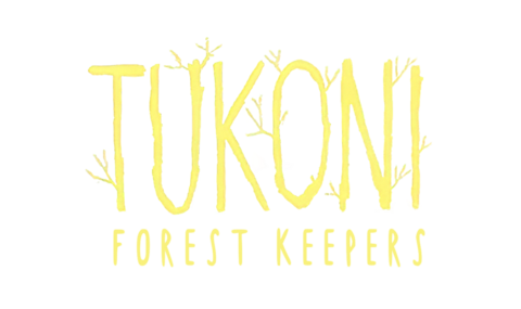 Tukoni: Forest Keepers on GOG.com