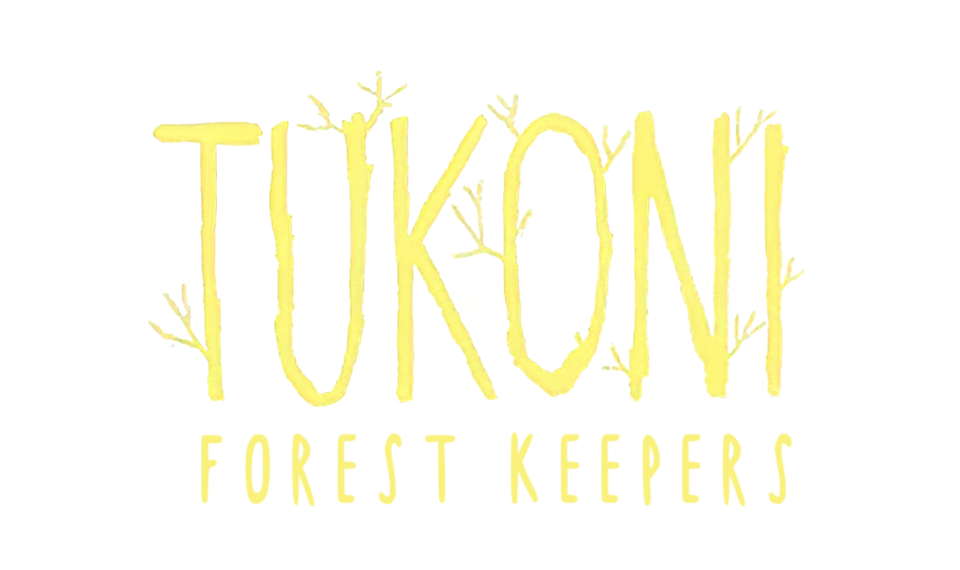 Tukoni: Forest Keepers Demo on GOG.com