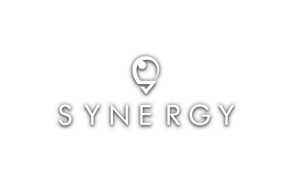 Synergy on GOG.com