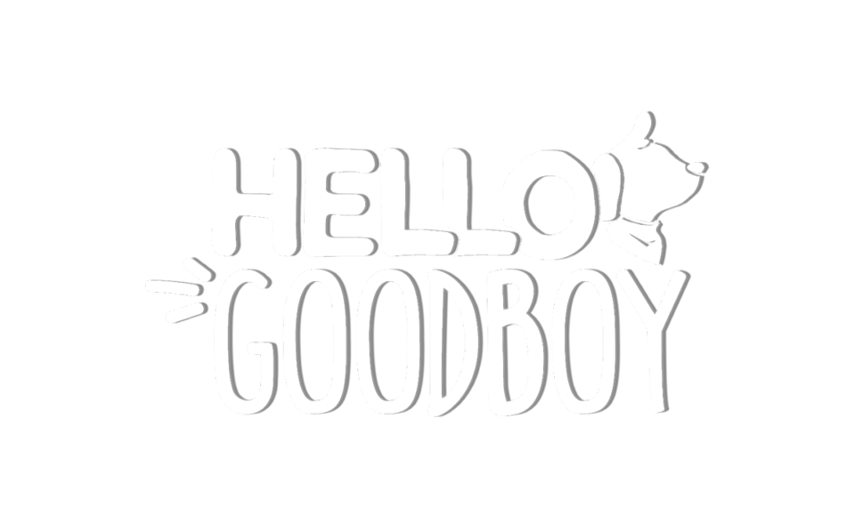 -75% Hello Goodboy on GOG.com