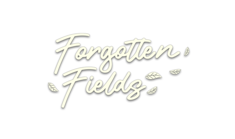 -80% Forgotten Fields on GOG.com