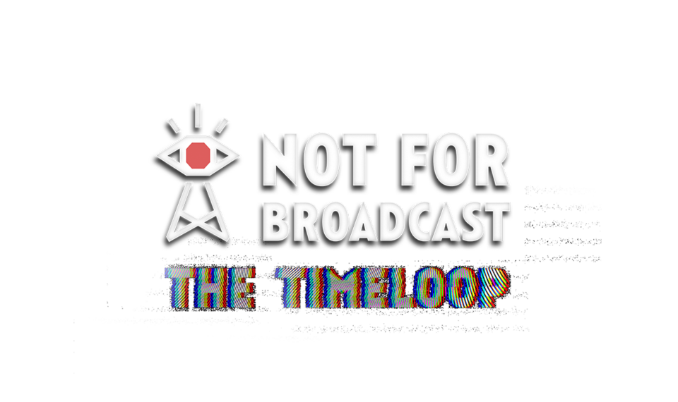 -74% Not For Broadcast: The Timeloop on GOG.com